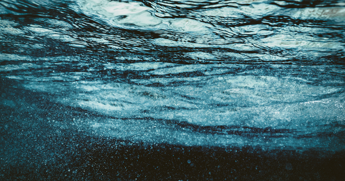 United Nations Global Compact Company Orbia and Its Businesses Attend ...